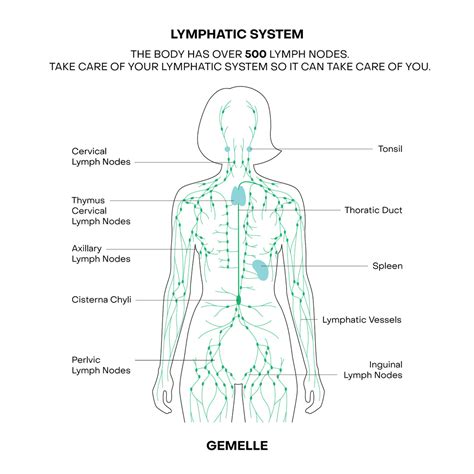 Lymphatic Breast Massage Oil Gemelle