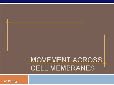 Chapter 1 Introduction Cells Tissues Part 5 Ap
