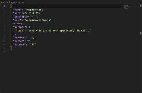Visual Studio Code Why Is VSCODE Placing A Debug Flag Above My Scripts Key In ALL My Package