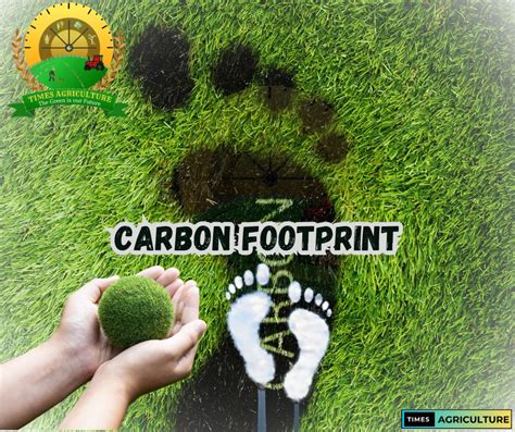 What Is Carbon Footprint And Its Causes Ways To Reduce Times