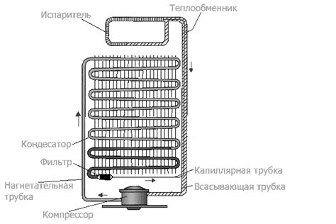 Устройство однокамерного и двухкамерного холодильника Атлант