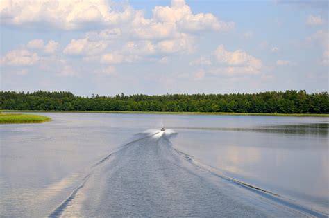 갈대와 울창한 숲으로 둘러싸인 광대하면서도 얕은 강이나 호수 또는 폴란드의 화창한 여름날에 모터 보트가 수영하는 황무지 0명에 대한 스톡 사진 및 기타 이미지 Istock