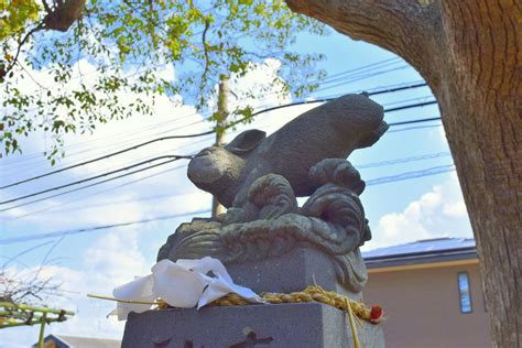 波折神社の波乗りうさぎ｜九州への旅行や観光情報は九州旅ネット