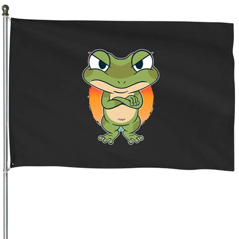 Froggy Frog Cute Mad Frogs House Flags Sold By Peafowltoken Sku