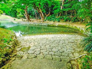識名園 庭園ガーデン植物園花の名所の訪問記