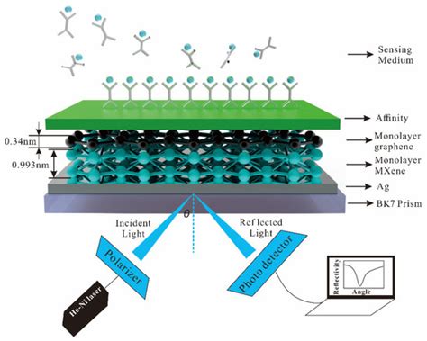 Biosensors Special Issue Plasmonic Based Biosensors