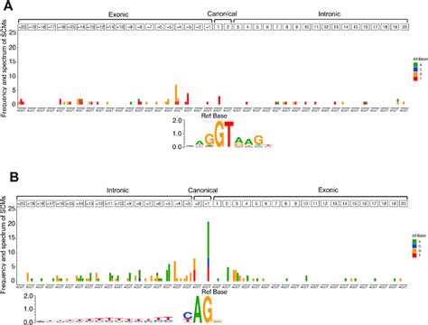 Frequency And Spectrum Of Scms Adjacent To Annotated Exons A Donor