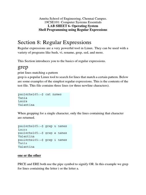 Lab Sheet 6 Pdf Regular Expression Computer File