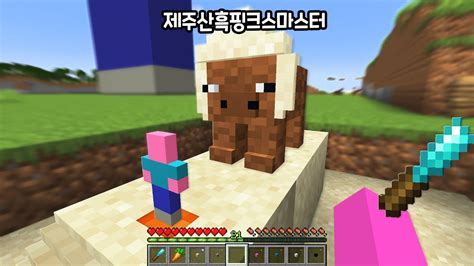 [마인크래프트] 피그시티 시즌8 3화 피드 모드 시티 두번째는 치젤모드 지옥에서돌아온 제주산흑핑크스마스터 문제를 맞혀라 Youtube