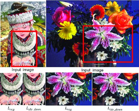 Comparison Of 0 5 Downscaling Of Using L Reg And L ORL Down In