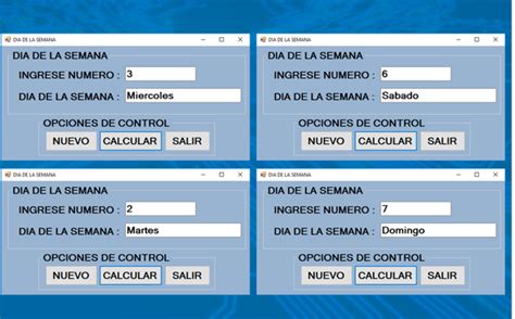 Windows Forms Ronaldocg