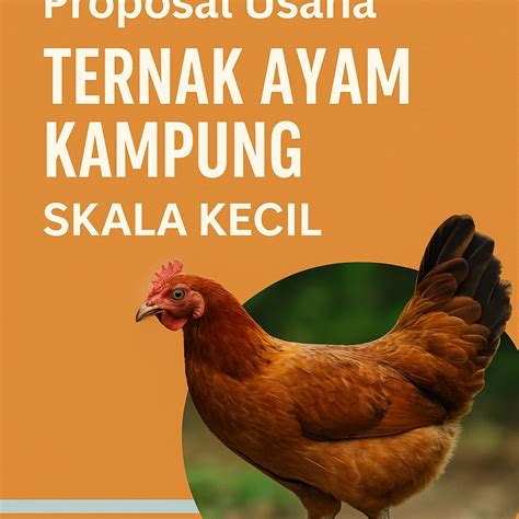 Proposal Usaha Ternak Ayam Kampung Skala Kecil Solusidesa