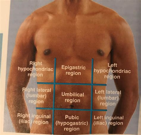 9 Regions Of The Body