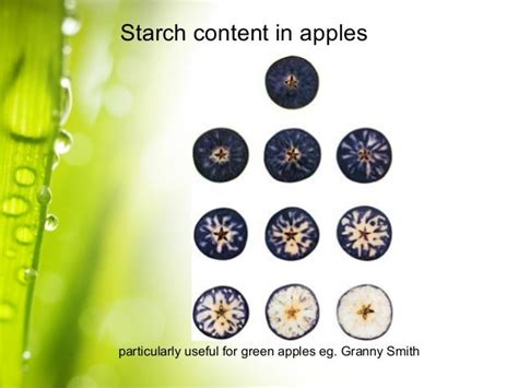 Polyploidy Or How Do We Get Seedless Fruit