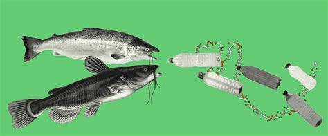 Planeta Protiv Plastike Oblakoder