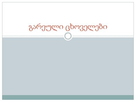 გარეული ცხოველები Ppt