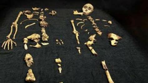 Foto Ditemukan Fosil Spesies Manusia Baru
