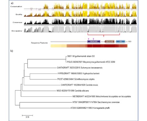 Profiling Of Putative Phospholipase C Encoding Gene According To Public