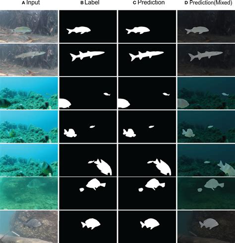 Frontiers Rmp Net A Structural Reparameterization And Subpixel Super Resolution Based Marine