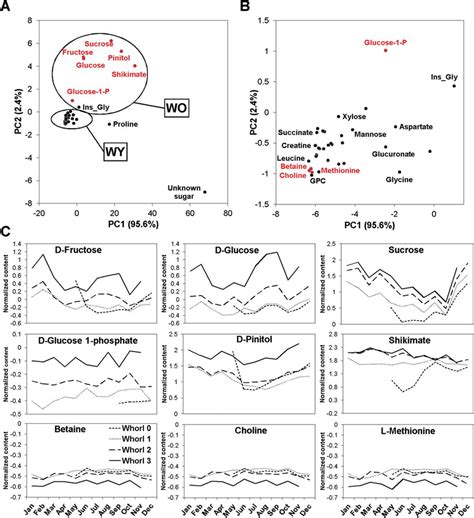 Pca Of Metabolite Profiles A Pca Score Plot Of The Identified