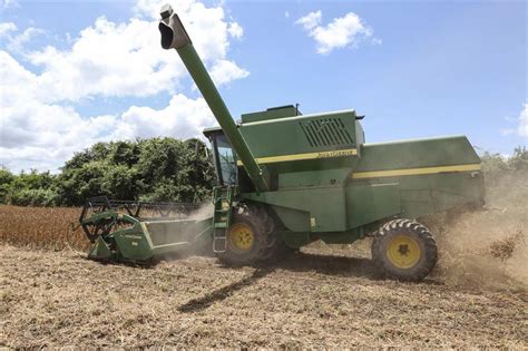 Más De 300000 Hectáreas De Cultivos Dañadas Por Lluvias En Bolivia