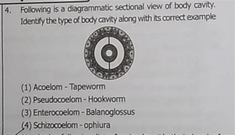 4 Following Is A Diagrammatic Sectional View Of Body Cavity Identify Th