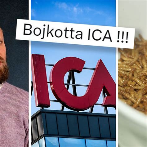 Så Piskade Sex år Gammalt Ica Recept Upp Bojkotter Och Insektskonspirationer Svt Nyheter