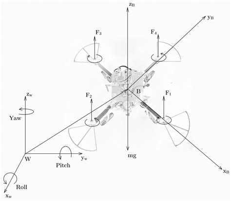 The Coordinate Systems And The Free Body Diagram Download Scientific