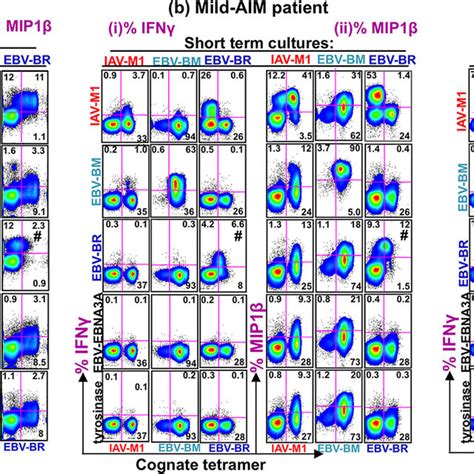 Representative Examples Of Tetramer And Intracellular Cytokine