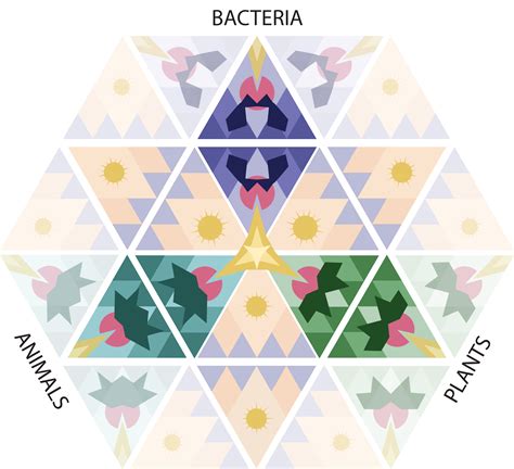Mit Scientists Discover New Antiviral Defense System In Bacteria Mit