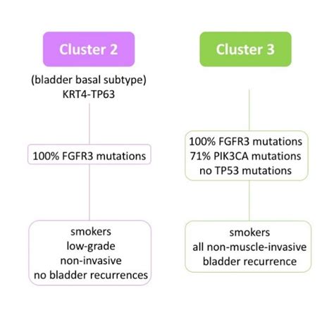 Rna Sequencing Utuc Molecular Subtypes And Their Correlation With