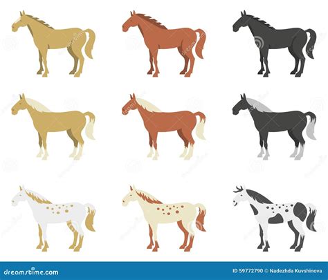 Een Reeks Paarden Van Verschillende Rassen En Kleur Stock Illustratie