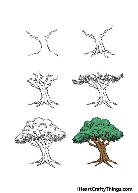 How To Draw A Cartoon Tree A Step By Step Guide Tree Drawing Simple