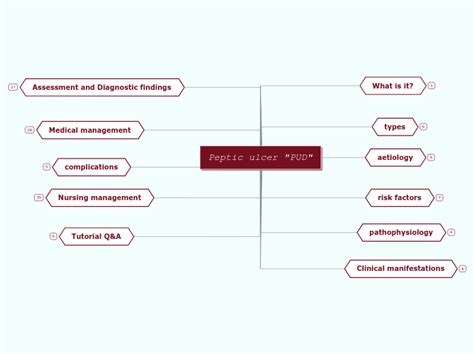 13 Pud Mind Map