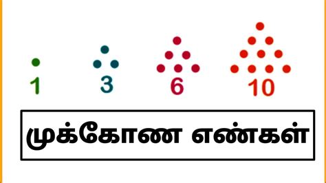 முக்கோண எண்கள் எண் கோலங்கள் கணிதம் Youtube