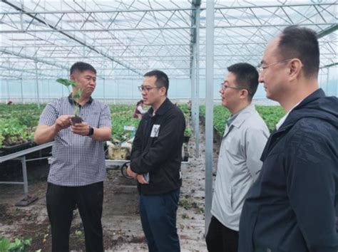 图文视频 审计署网站