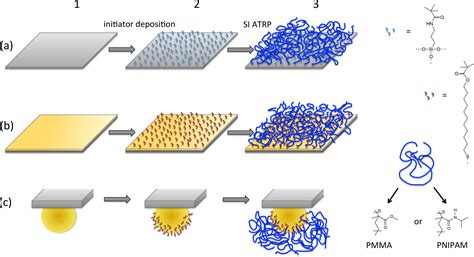 Preparation And Friction Force Microscopy Measurements Of Immiscible Opposing Polymer Brushes
