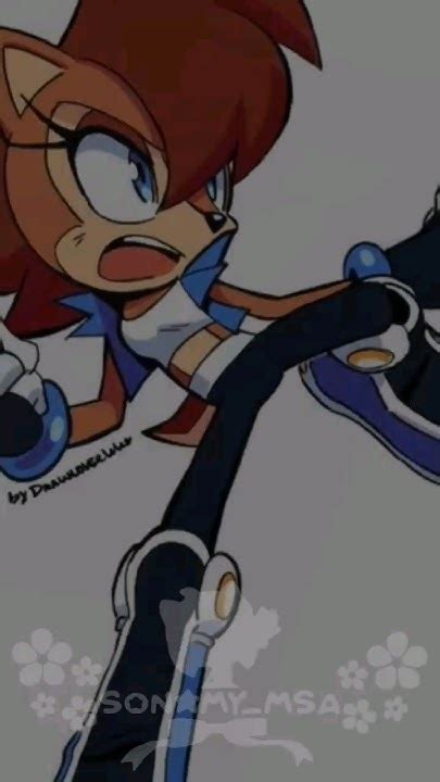 🧡sally Acorn Vs Amy Rose Quién Gana Capcut Editmio Edit Sallyacorn