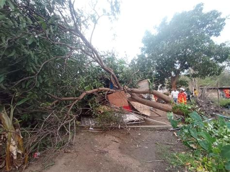 မင်းဘူးမြို့နယ်တွင် လေပြင်းတိုက်ခတ်မှုကြောင့် နေအိမ် ၁၂ဝ ကျော် နှင့် ဘုန်းကြီး ကျောင်း ၄ ကျောင