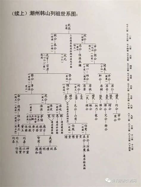 家谱图怎么画简单现代范本大山谷图库