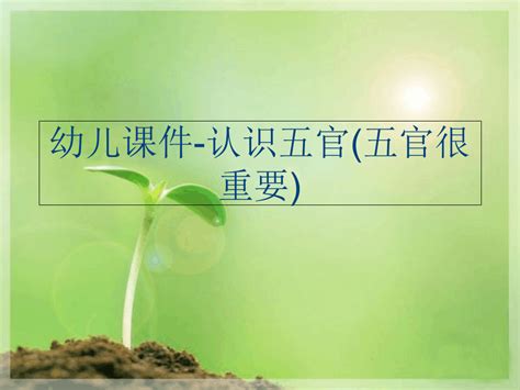 学习幼儿课件 认识五官五官很重要讲课讲稿word文档在线阅读与下载免费文档