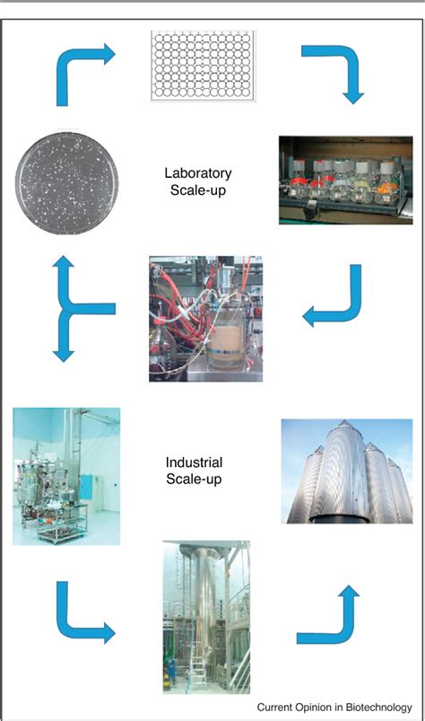 Butanediol Biosynthetic Process Semantic Scholar