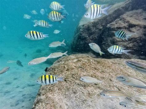 Gopro Hero 7 Silver Action Camera Review Action Gadgets Reviews
