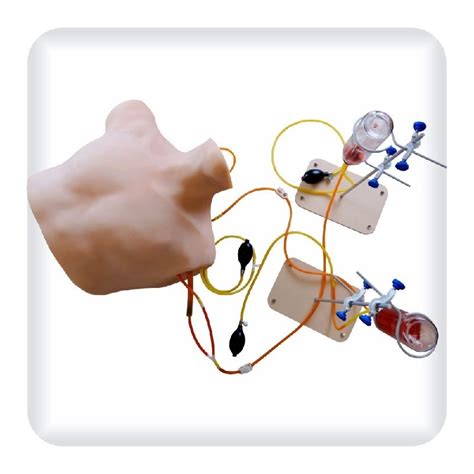 Simulator For Practicing Central Venous Catheterization