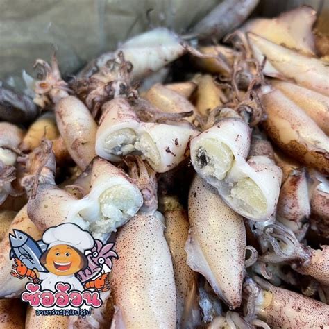 หมึกกระตอยไข่ต้มอบแห้ง ไข่70 สินค้าใหม่หมึกกระตอยไข่ต้มอบแห้งไข่มาก