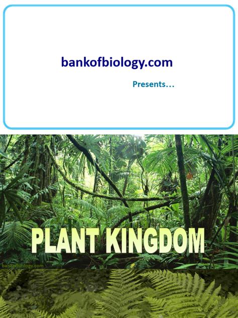 Pteridophytes And Gymnosperms Pdf Fern Sexual Reproduction