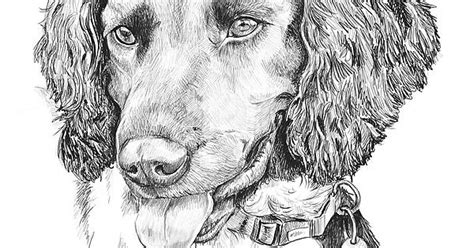 Some Of My Art Work Album On Imgur