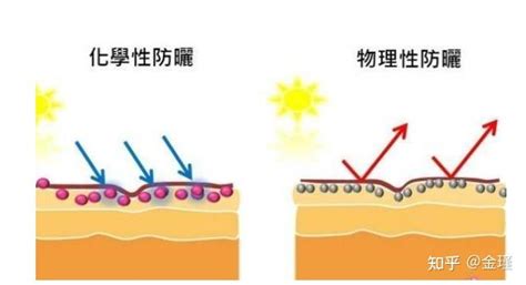 化学防晒、物理防晒、生物防晒的各自优缺点及选择 知乎