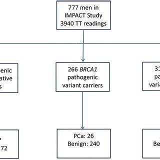 Consort Diagram Of Study Population Pca Prostate Cancer Tt Total