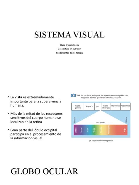 01 Sistema Visual Pdf